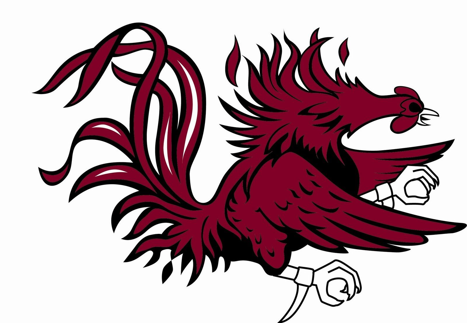 Gamecock New Arrivals – ToddandMoore