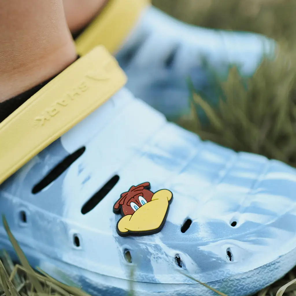 South Carolina Gamecock Football Cocky Croc Shoe Charm – ToddandMoore