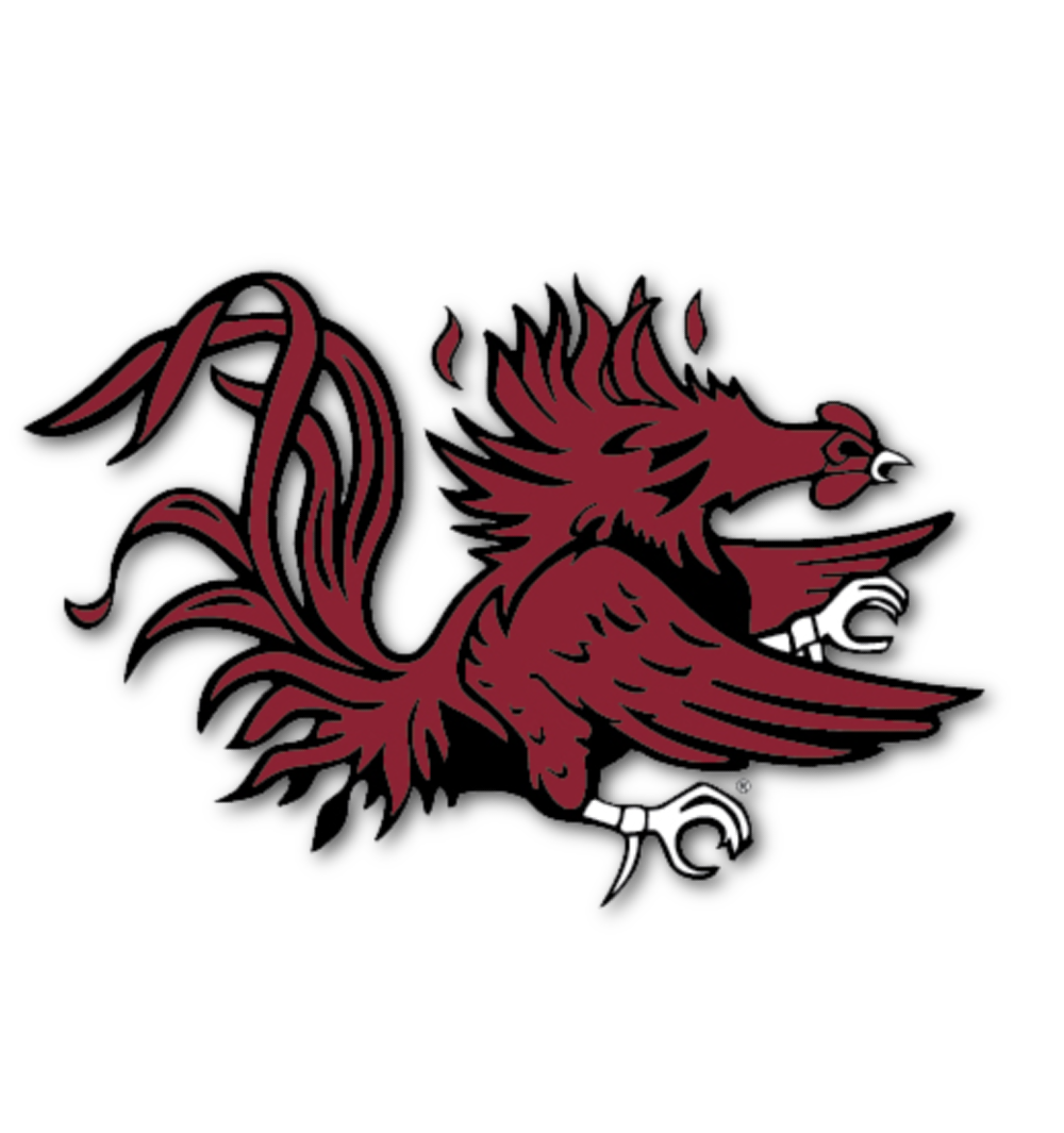South Carolina Gamecocks 3" Gamecock Vinyl Decal – ToddandMoore